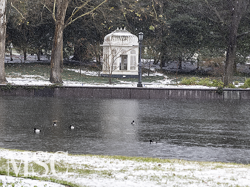 It's Days Like This That A Good Book, A Streaming Binge And Closet ...